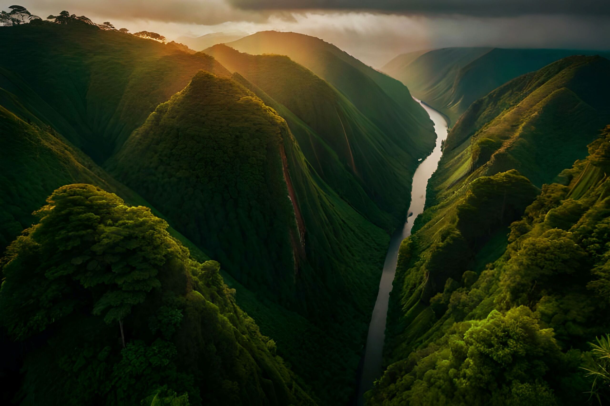 Understanding digital identity theft and fraud